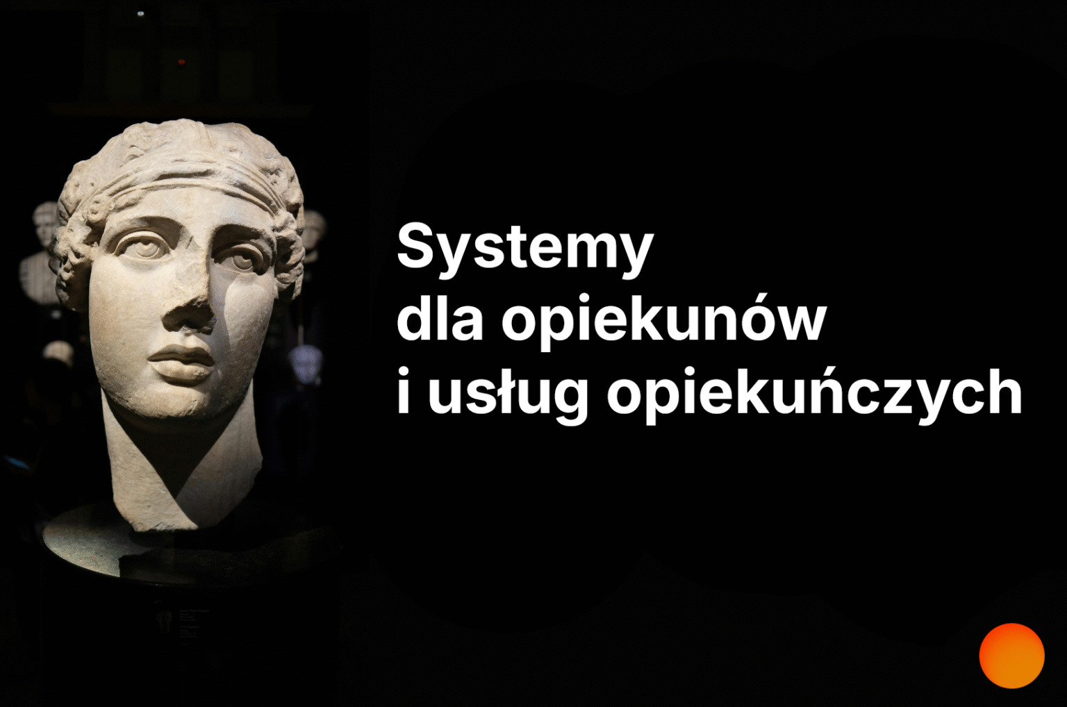 Systemy dla opiekunów i usług opiekuńczych - Sysmo.pl